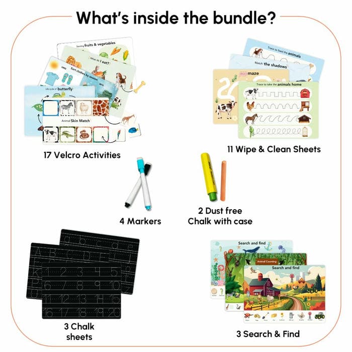 Animal & First Busy Book – Curious Cub