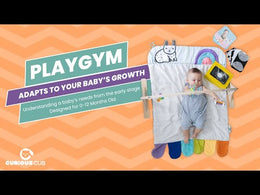 Play Gym – Curious Cub